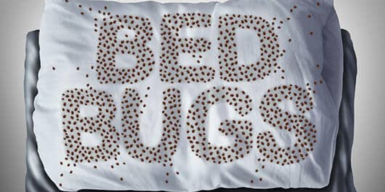 How Bed Bug-Proof Furniture Boosts Infection Control in Healthcare